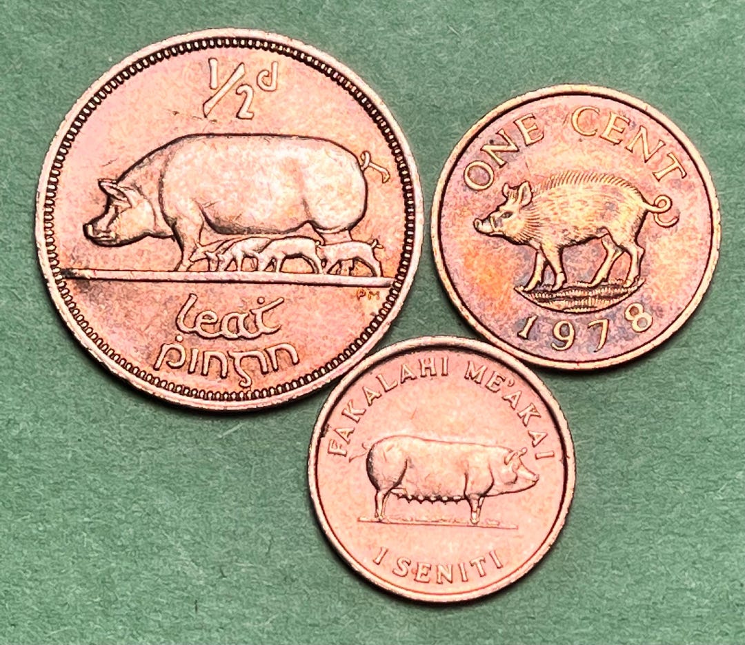 PIG Three Country Coin Trio (ireland, Bermuda, Tonga)—limited ...