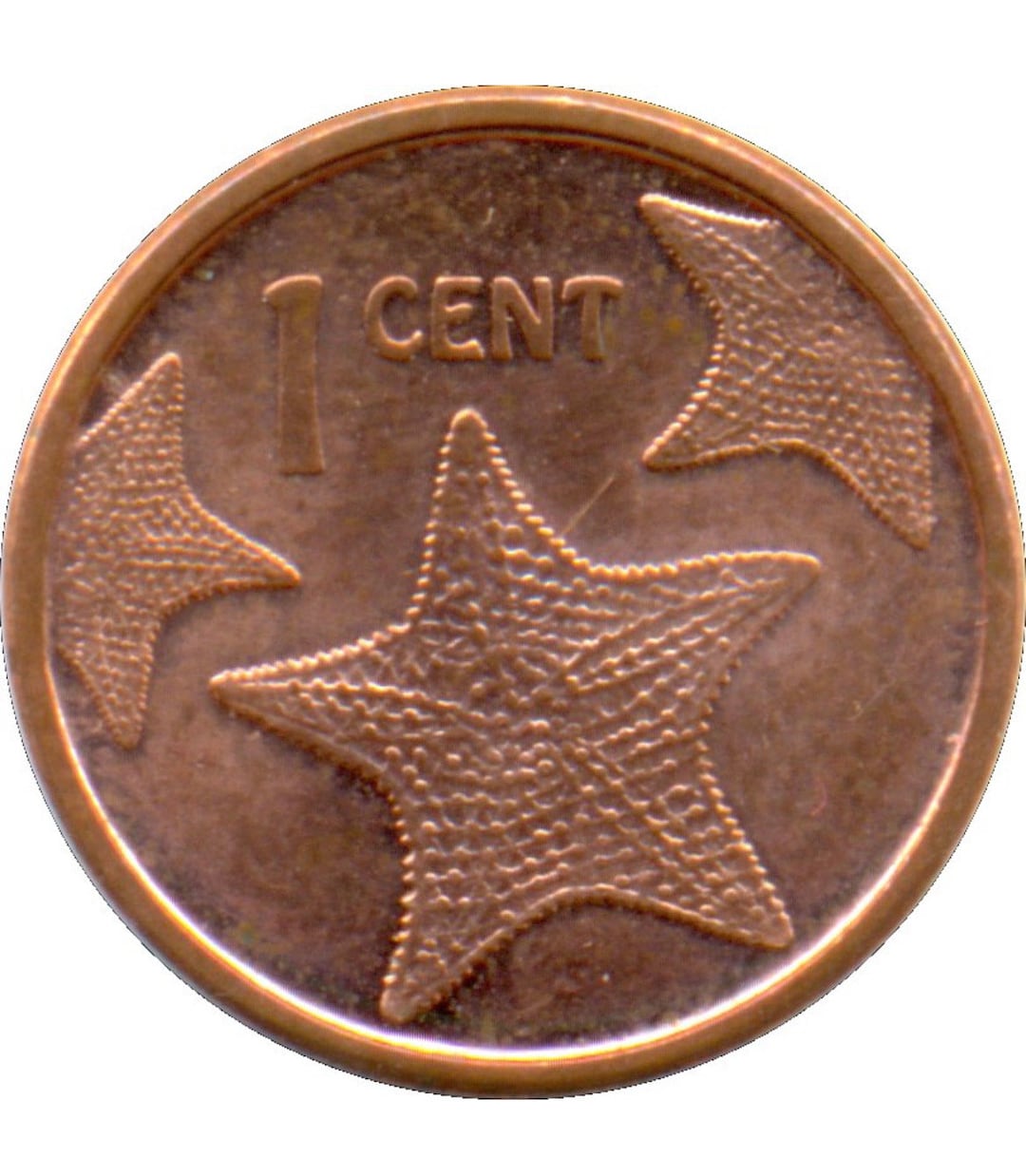 BAHAMAS Islands STARFISH Coin—high Grade/shipping Included! - Etsy