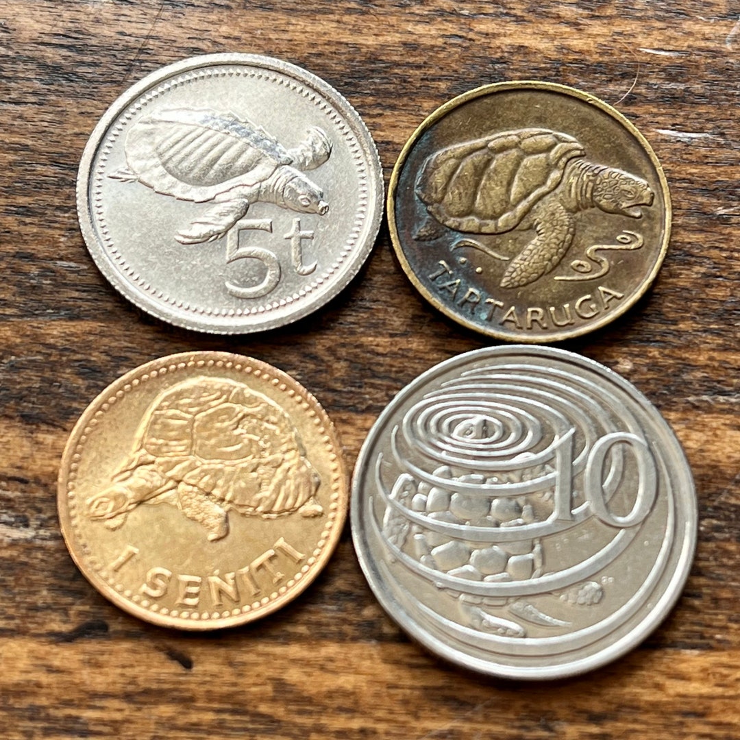 Tropical Turtle/tortoise Rare Coin Set From 4 Countries: Papua New ...