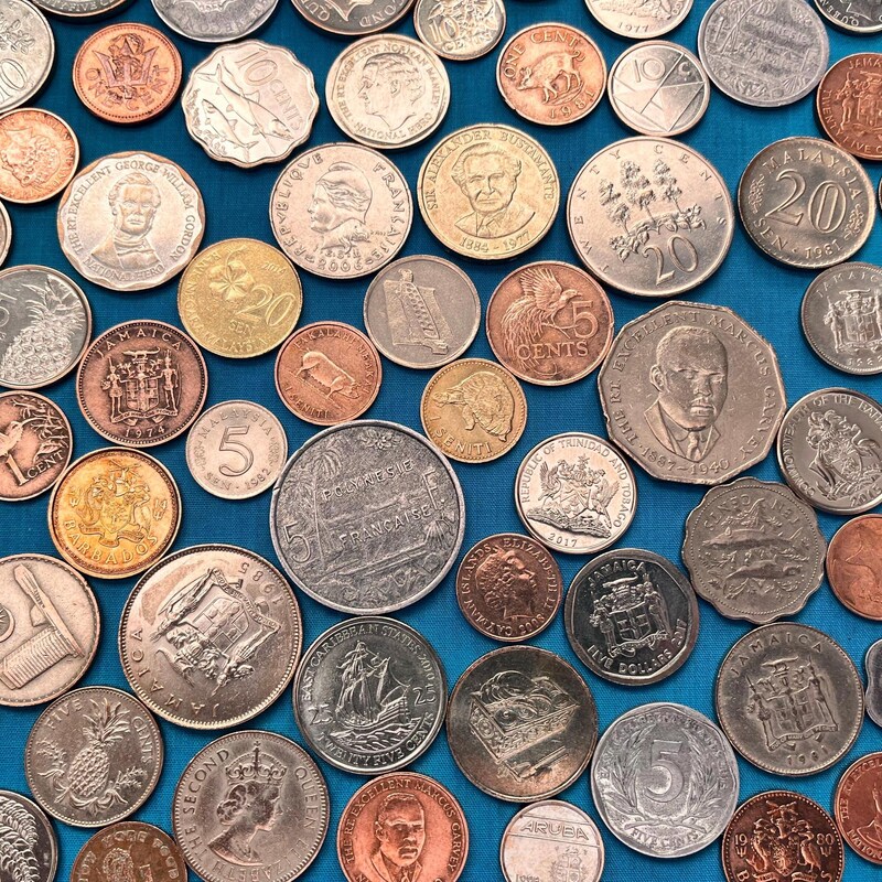 Caribbean Tropical - Etsy