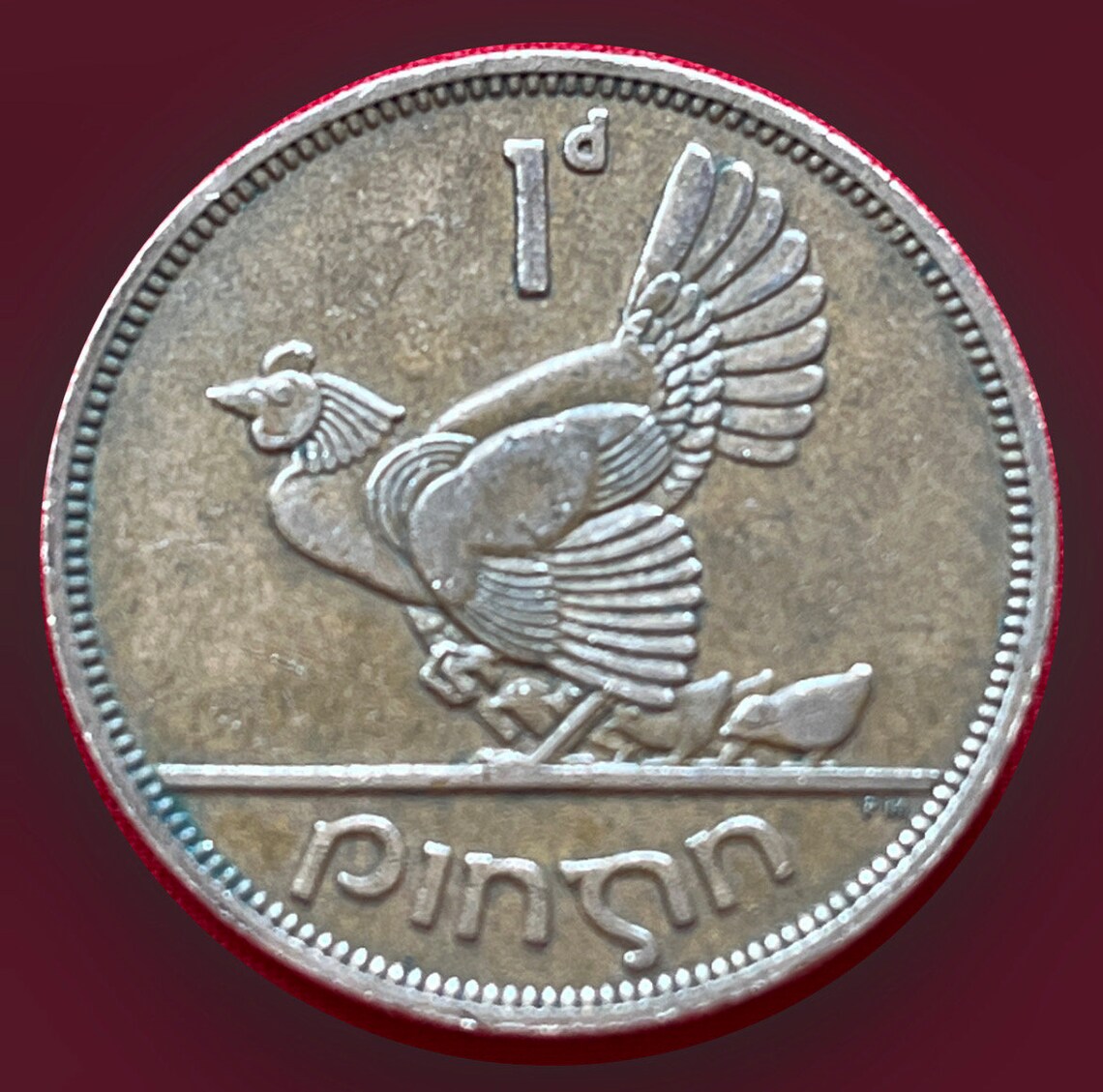 IRISH Hen and Chicks Large Bronze Penny—various Years/high Grade ...