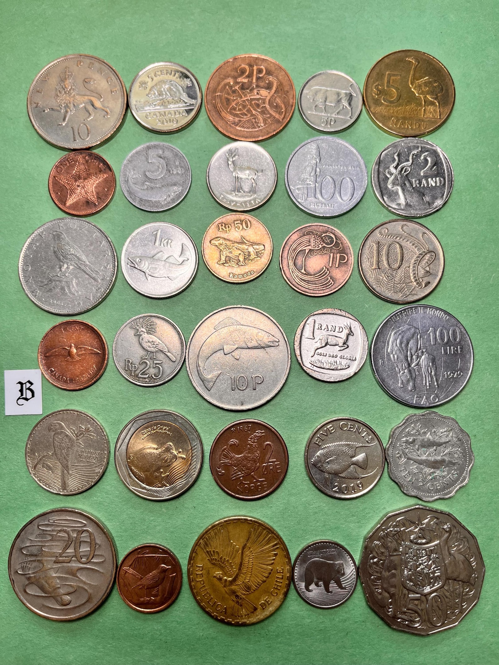 25 Unique Animal-themed Coins in a Pouch (CHOOSE Your Color)! - Etsy