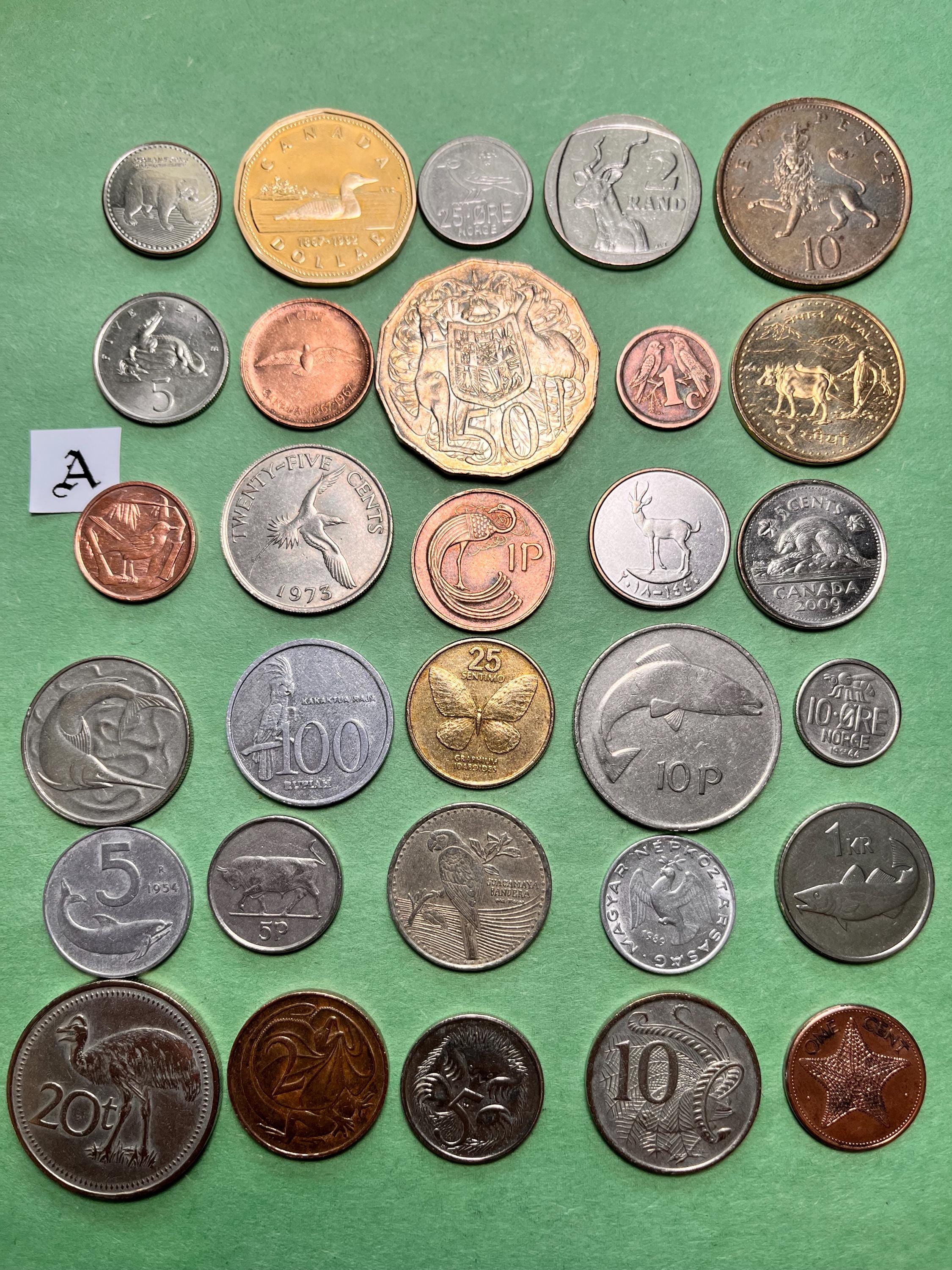 25 Unique Animal-themed Coins in a Pouch (CHOOSE Your Color)! - Etsy