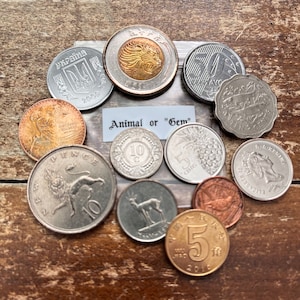 200 World Coin Starter Kit (w/ Choice of Colorful Pouch)—includes Older ...