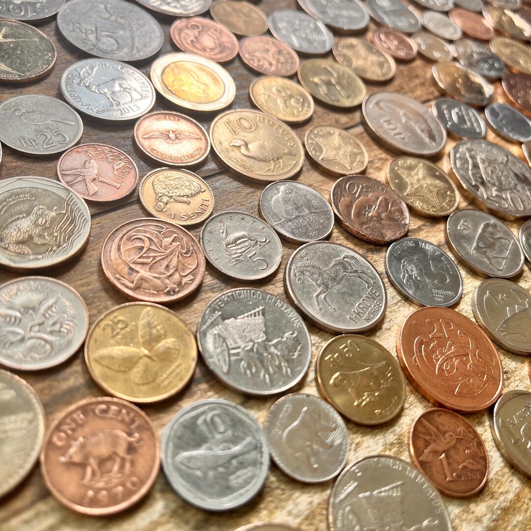 12 Unique ANIMAL Coin Sampler—free Shipping! - Etsy