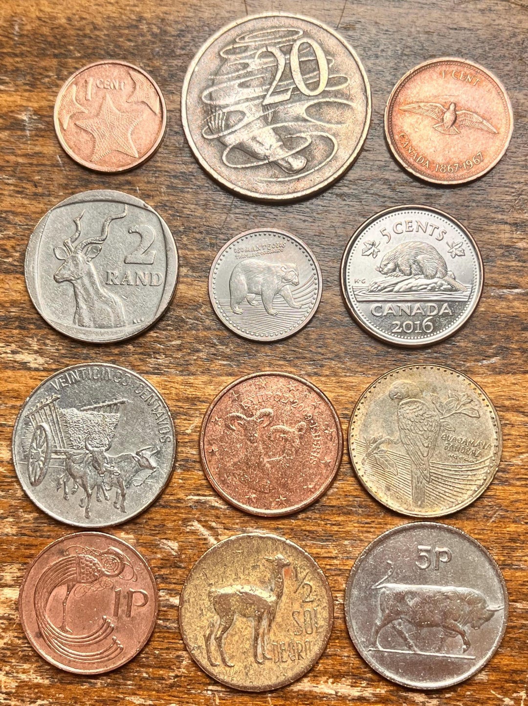 CHOOSE Your One-of-a-kind 12-coin ANIMAL Gift Sets—great for Kids/free ...