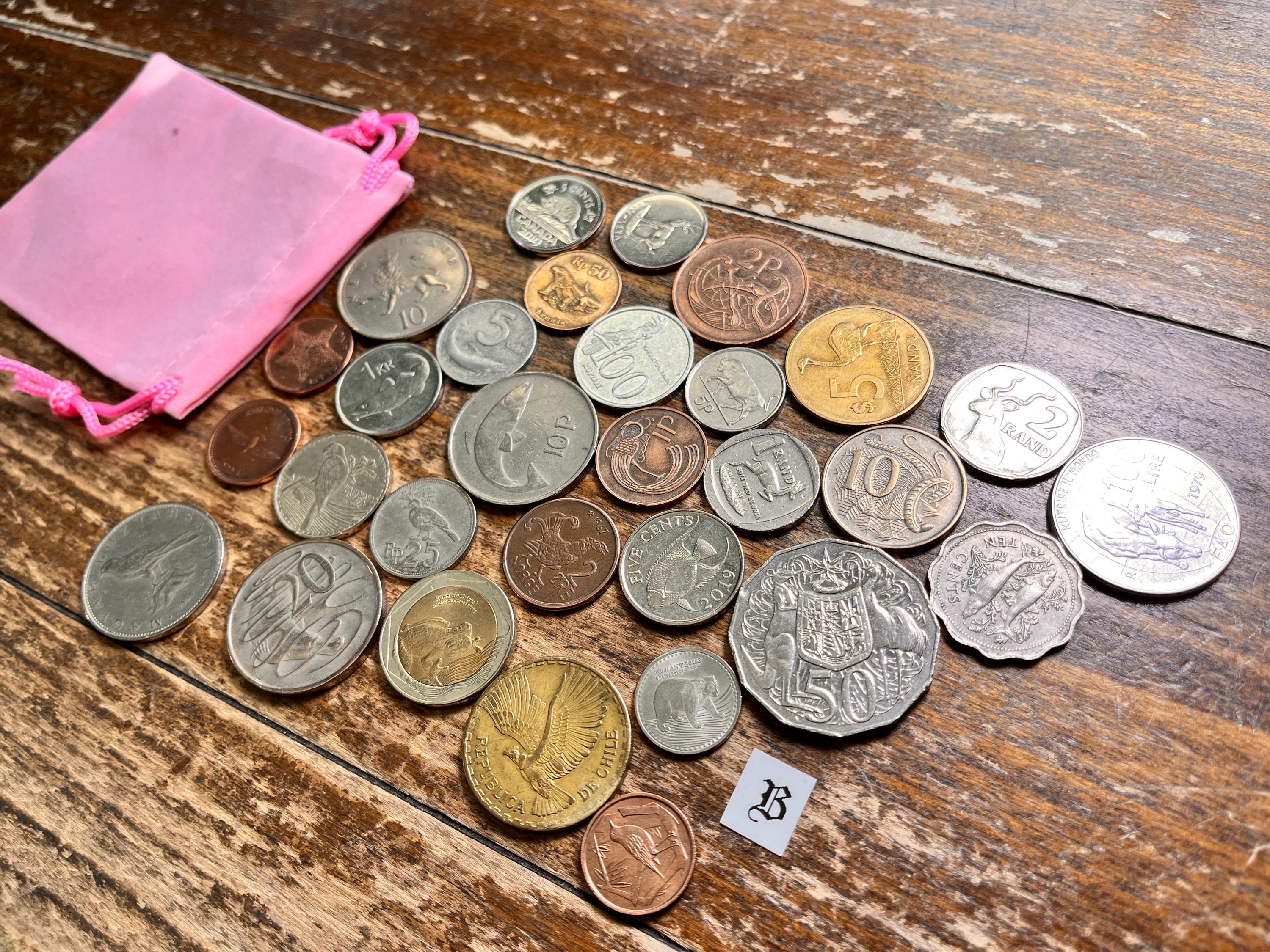 25 Unique Animal-themed Coins in a Pouch (CHOOSE Your Color)! - Etsy