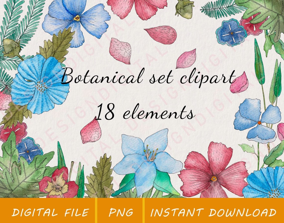 Flower Clipart, Botanical Hand Drawn Watercolor Floral Png Files ...