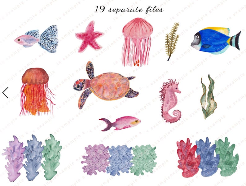 Watercolor Sea Clipart Nautical Clip Art Ocean Fish - Etsy