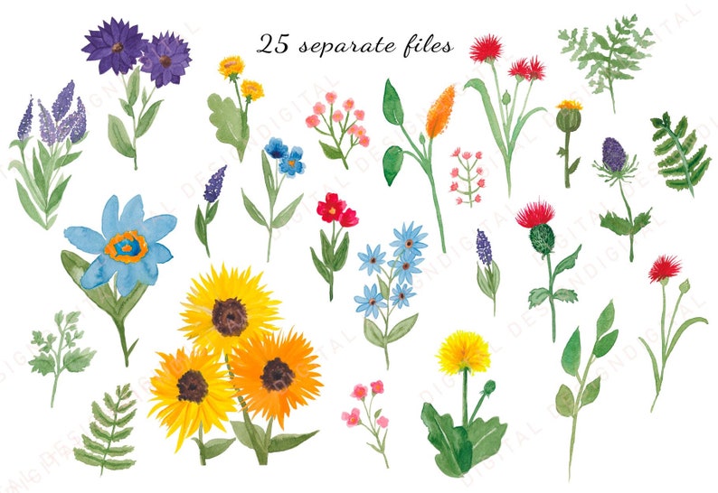 Wildflower Watercolor Clipart 25 Bright Spring Flowers PNG Includes ...