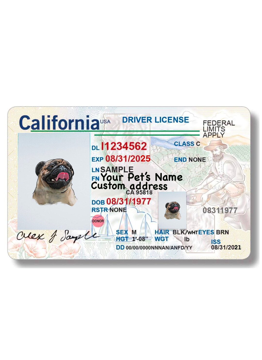 Personalized Pet Drivers License Art, Custom Digital Print, Unique Gift ...