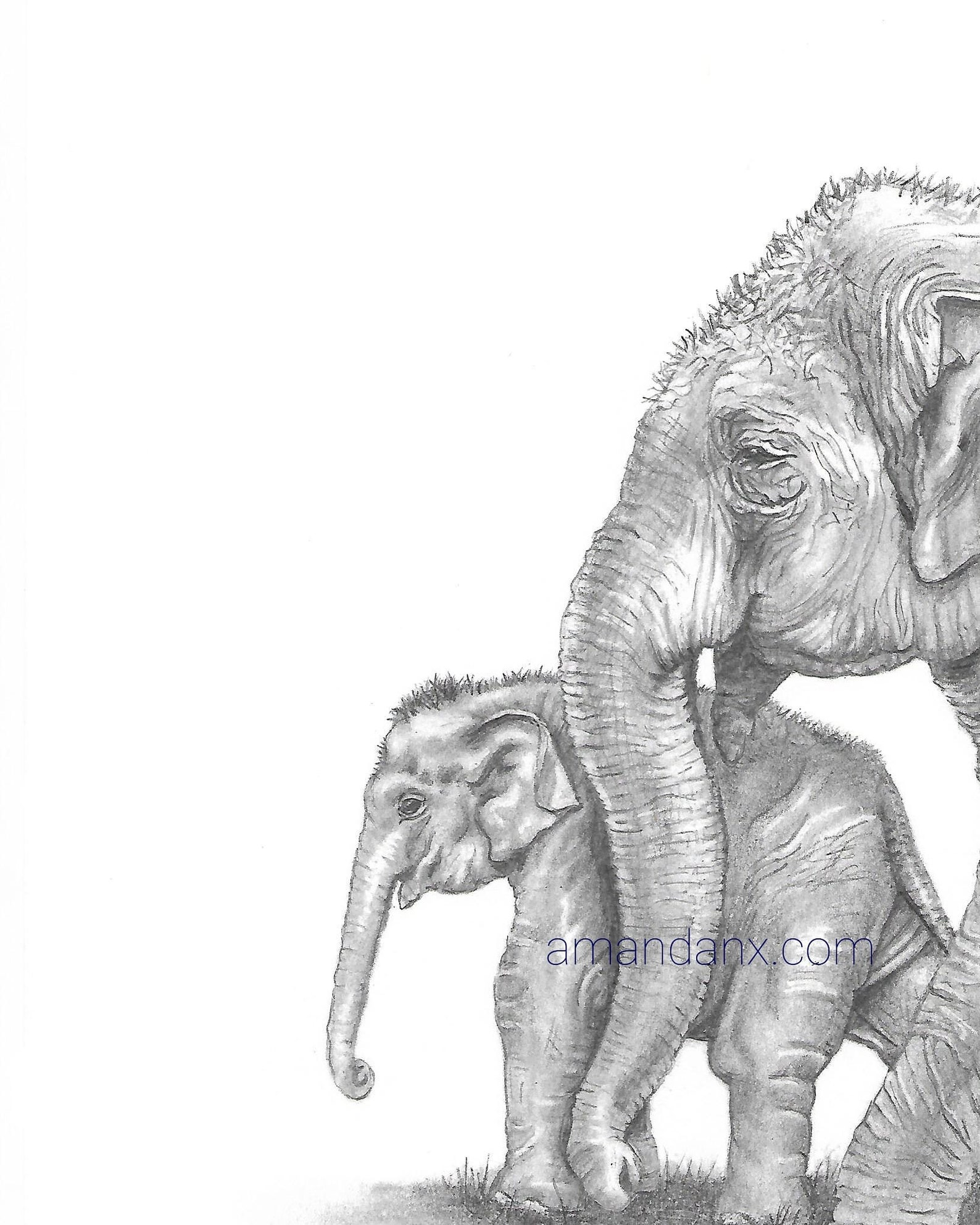 Elephants Letter Writing Stationery Set. 8 sheets A5 paper | Etsy