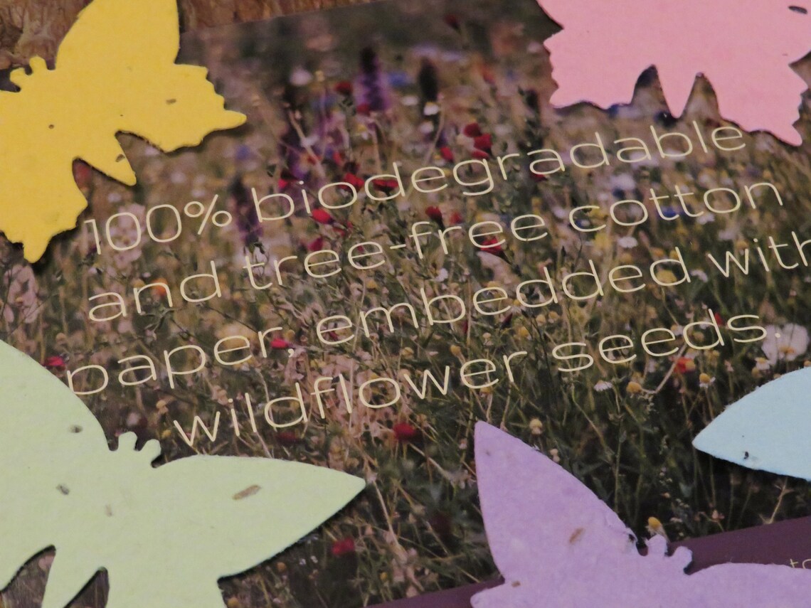 Seed Paper Shapes, Eco Friendly Seed Paper Favours, Plantable Paper ...