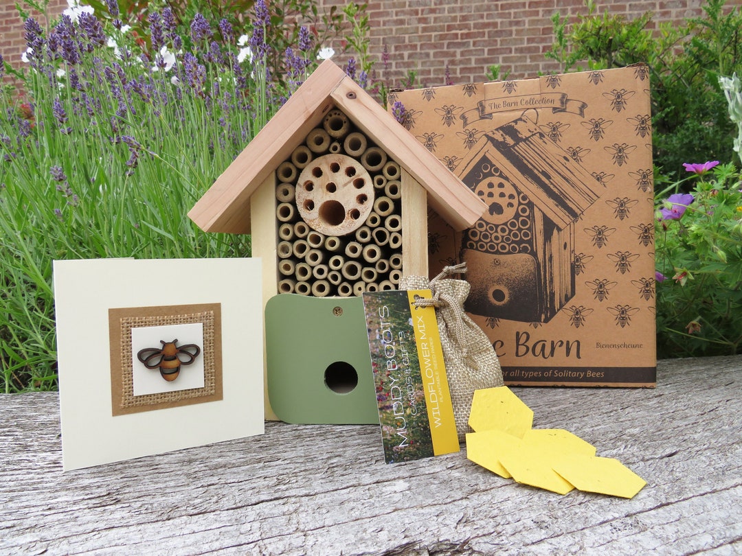 Bee Gift Bundle, Bee Gift Box, Bee Hotel, Bee Gift Set, Bee Garden ...