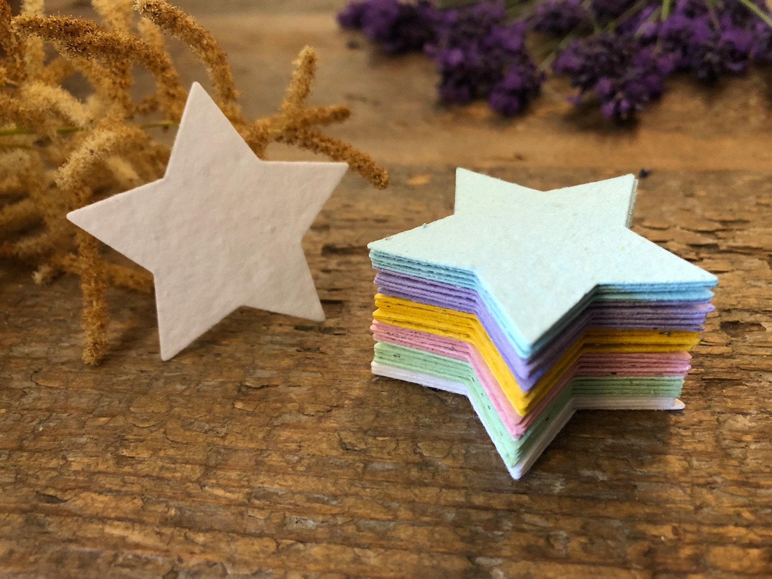 Seed Paper Shapes, Eco Friendly Seed Paper Favours, Plantable Paper ...