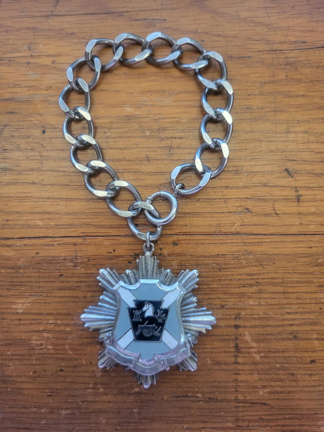 Vintage Heraldic Shield on Chain. 1970s Shield or Coat of Arms on Chain ...