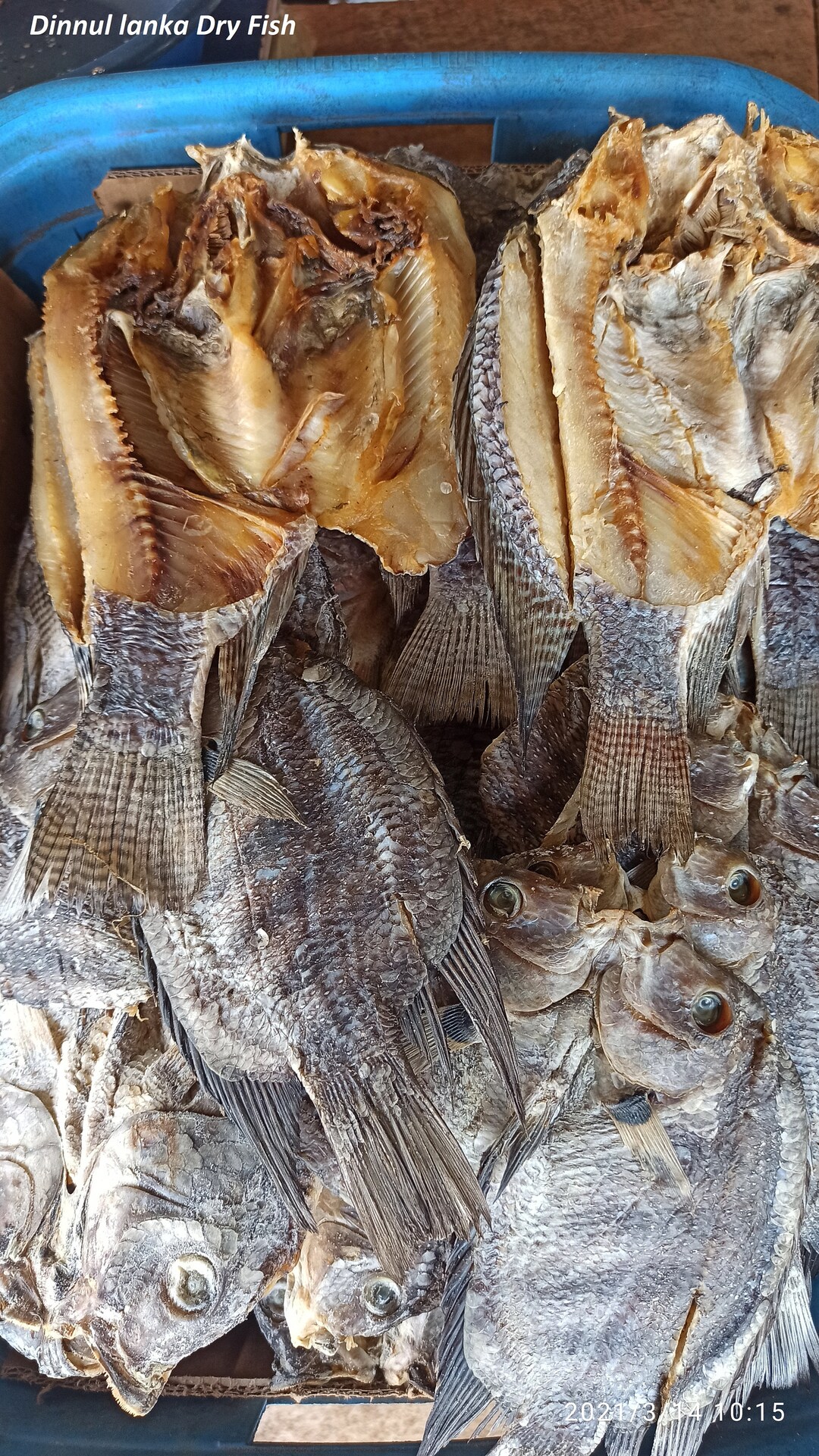 01 Natural Sun Dried Fresh Srilanka Lake Theppali ‘ - Etsy