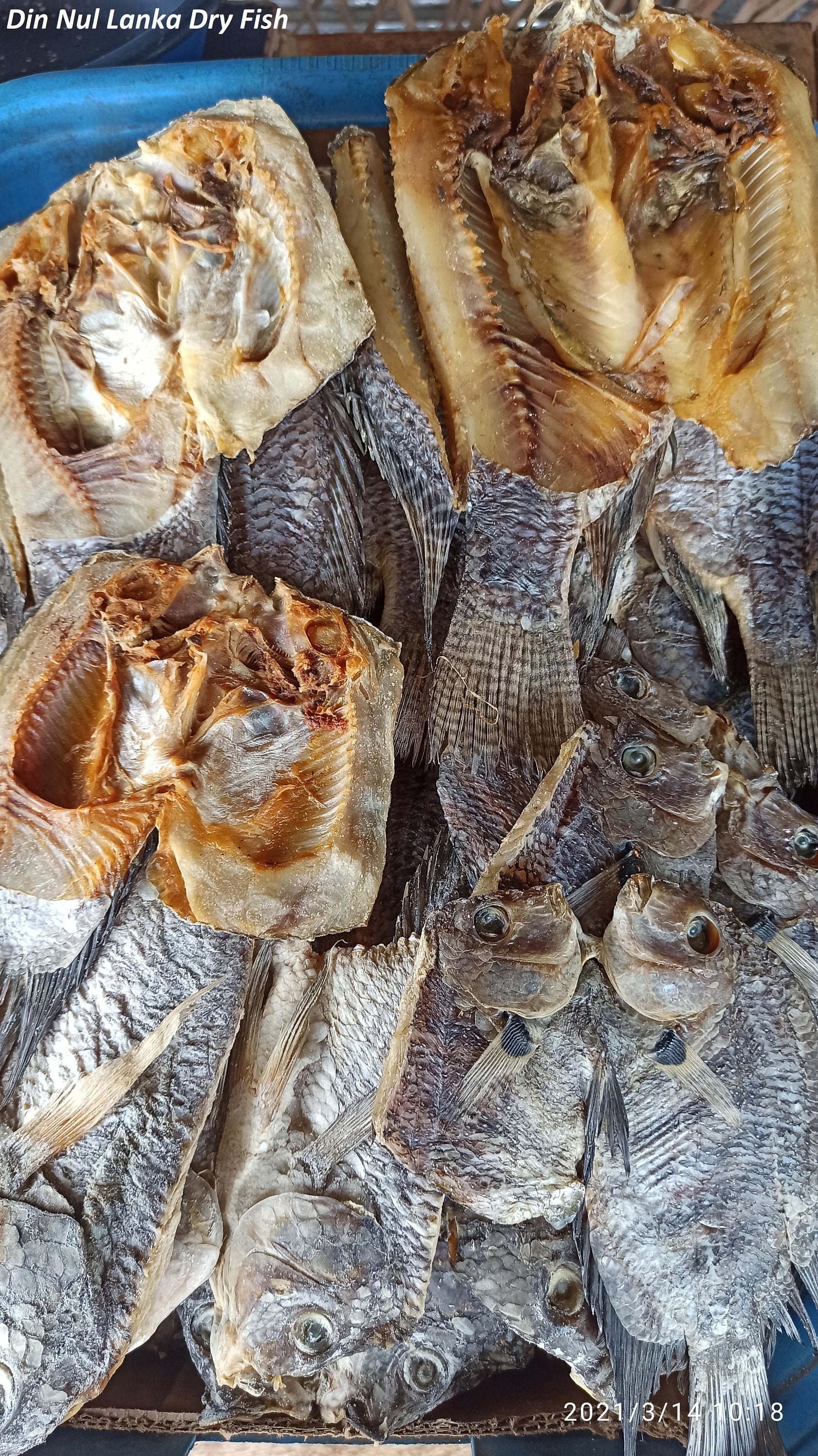 01 Natural Sun Dried Fresh Srilanka Lake Theppali ‘ - Etsy