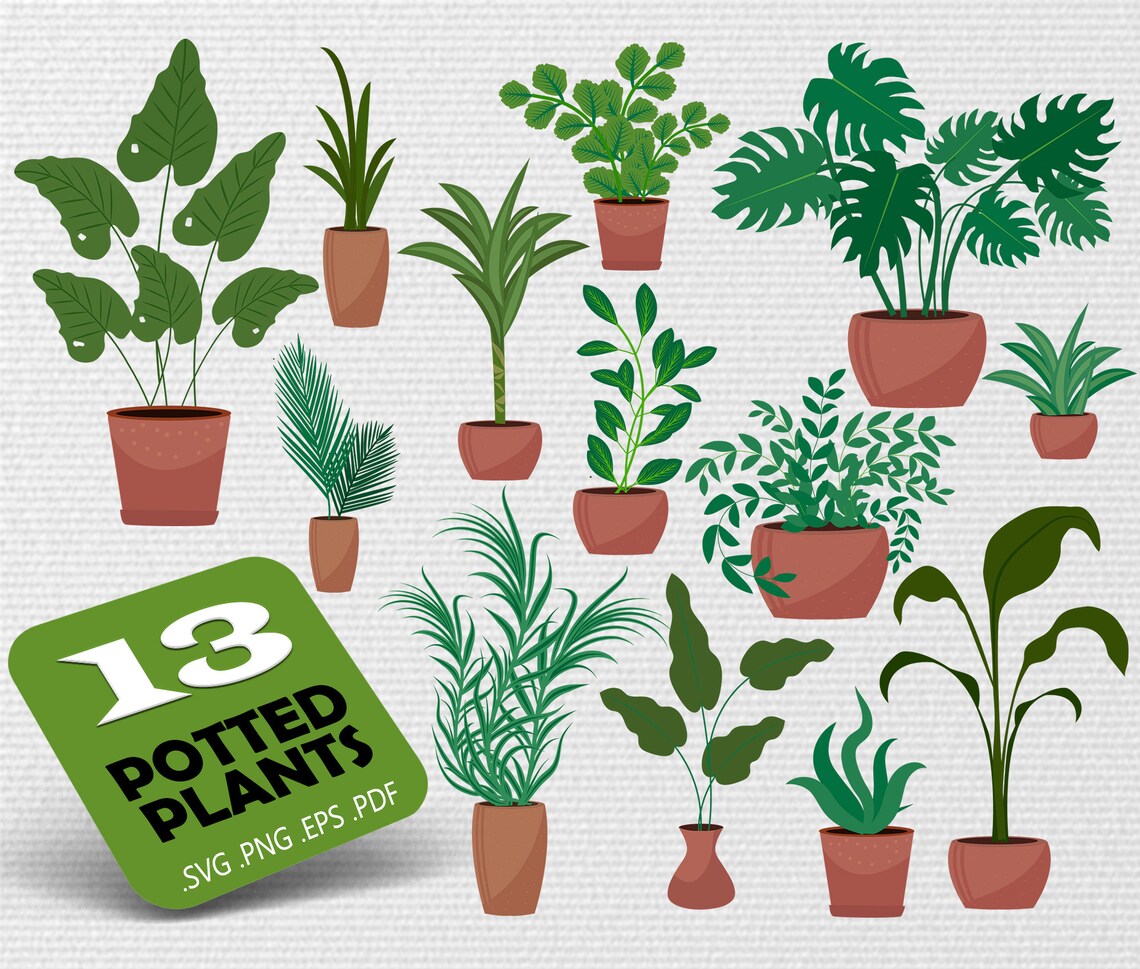 Potted Plants Svg,plants SVG, Bundle Svg, Potted Plants Svg, Gardening ...