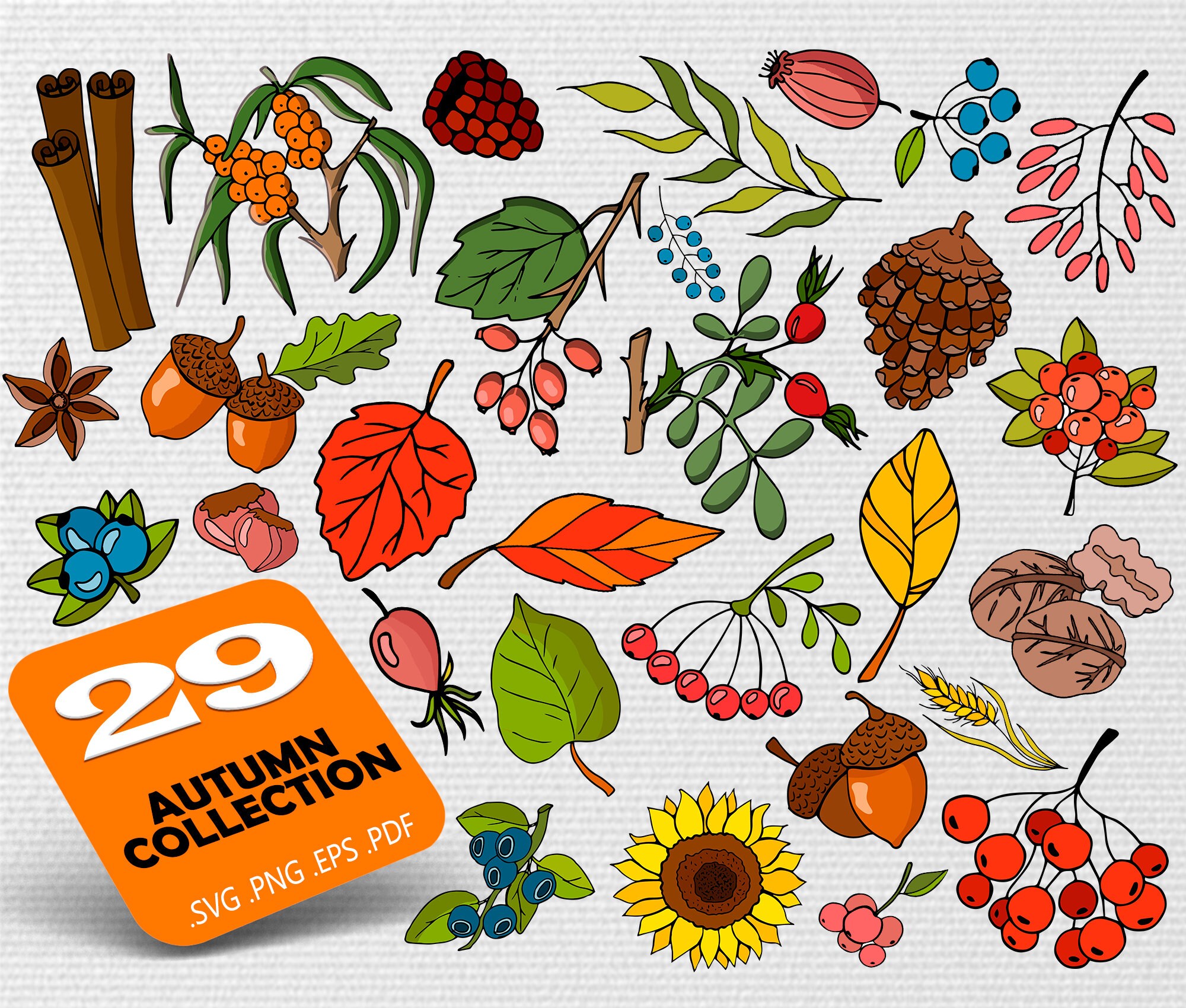 Autumn Collection Svg,autumn Clipart Svg,autumn Leaves Svg,leaves ...
