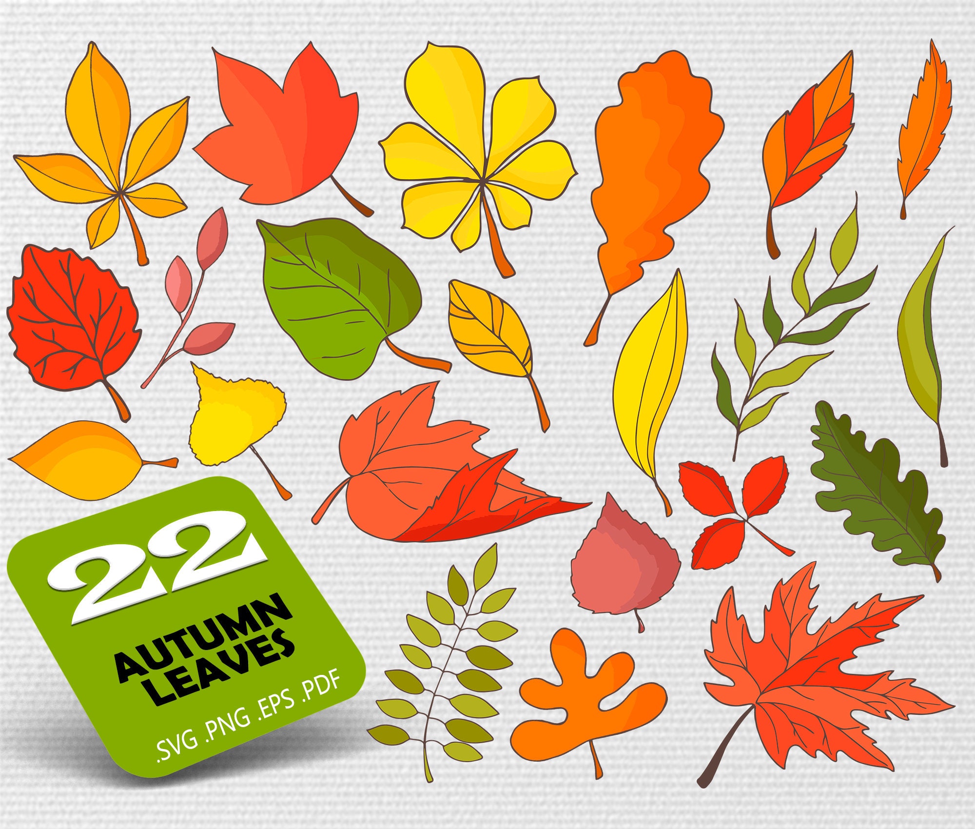 Autumn Leaves Svg,autumn Leaves SVG, Fall Leaves Svg, Autumn Leaves ...
