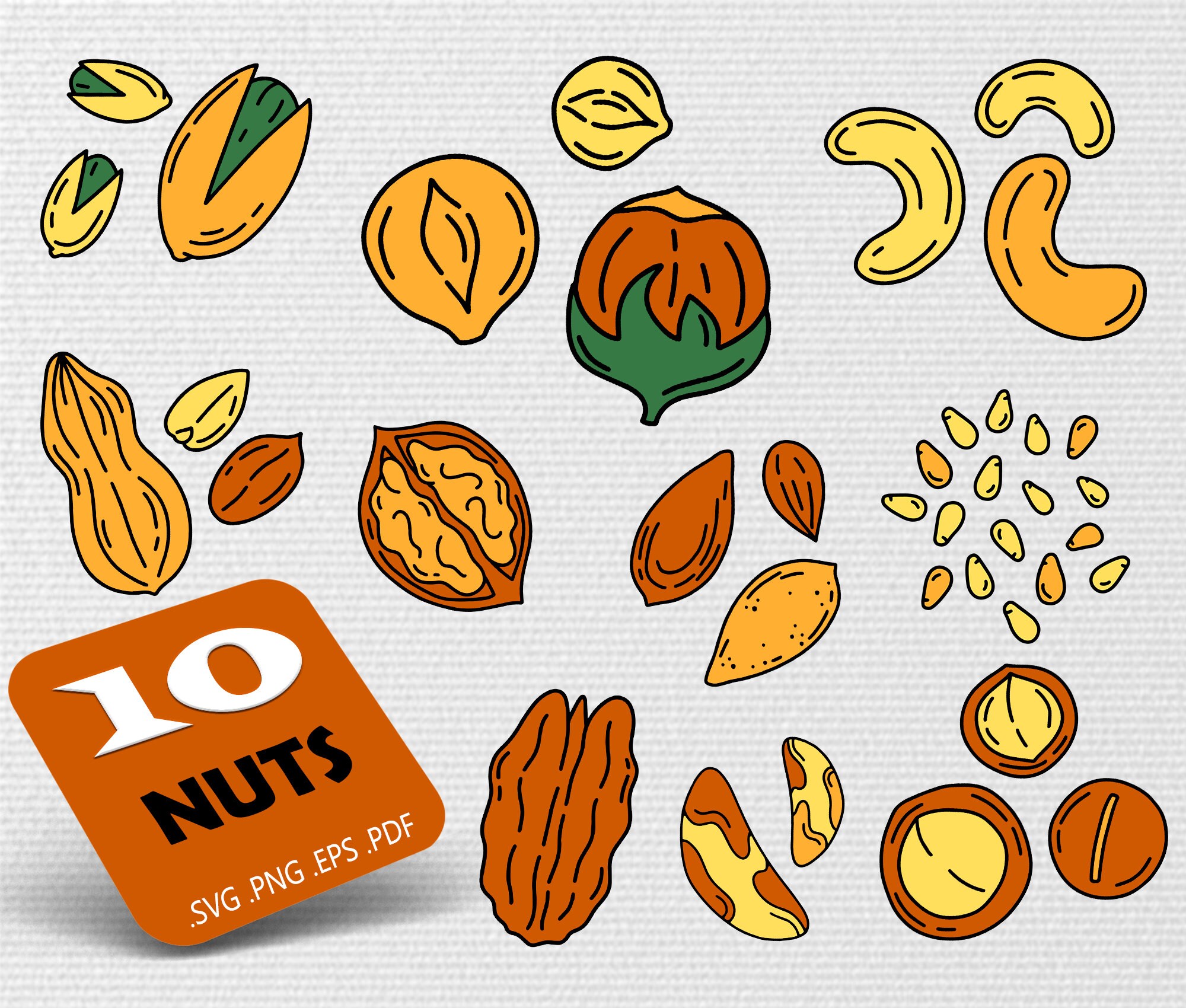 Nuts Svg,seed, Nut Svg Bundle, Nutcracker Svg, Nuts Vector, Silhouette ...
