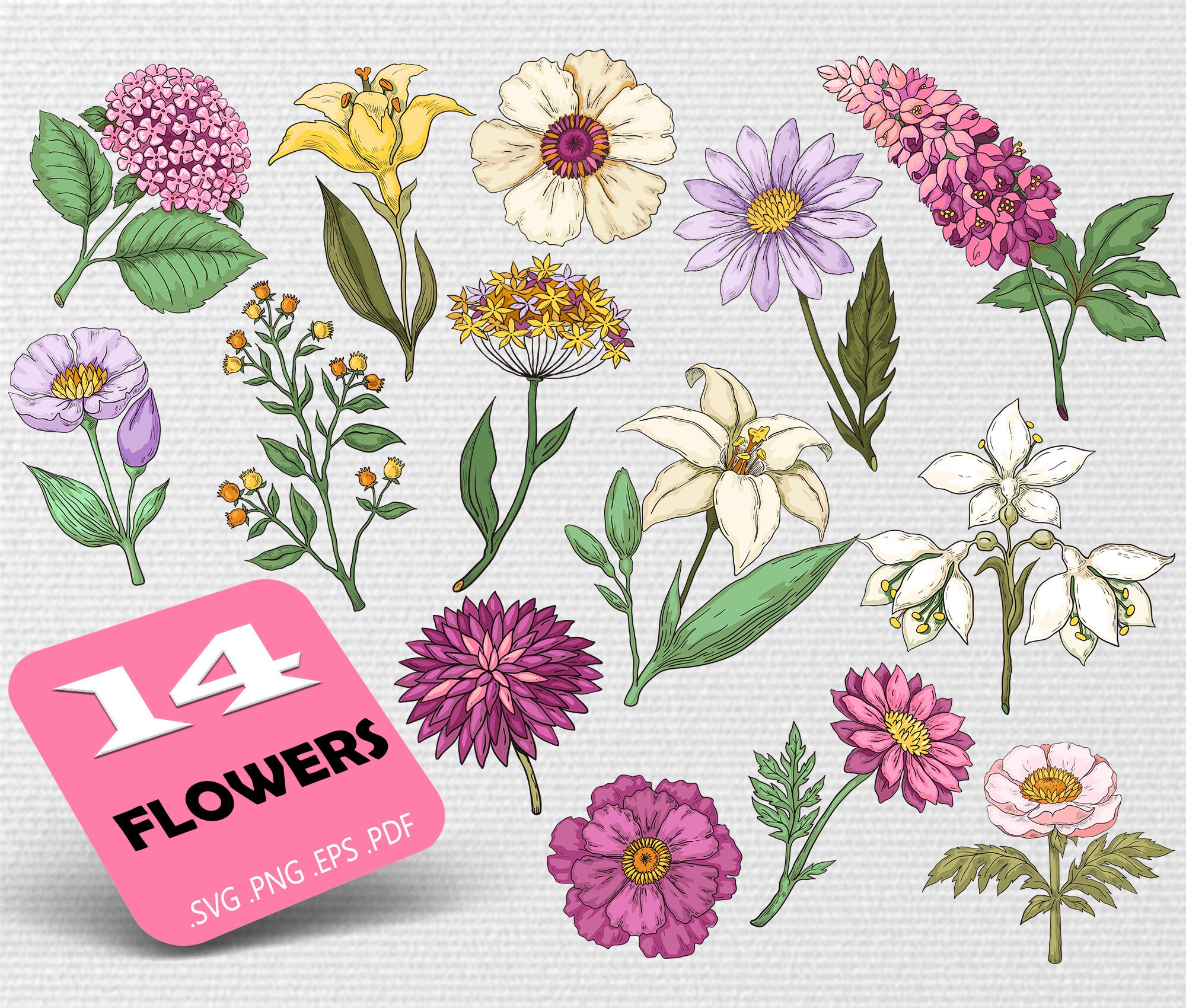 Flowers Svg,flowers Bundle SVG, Wildflower SVG, Flowers Svg, Floral Svg ...