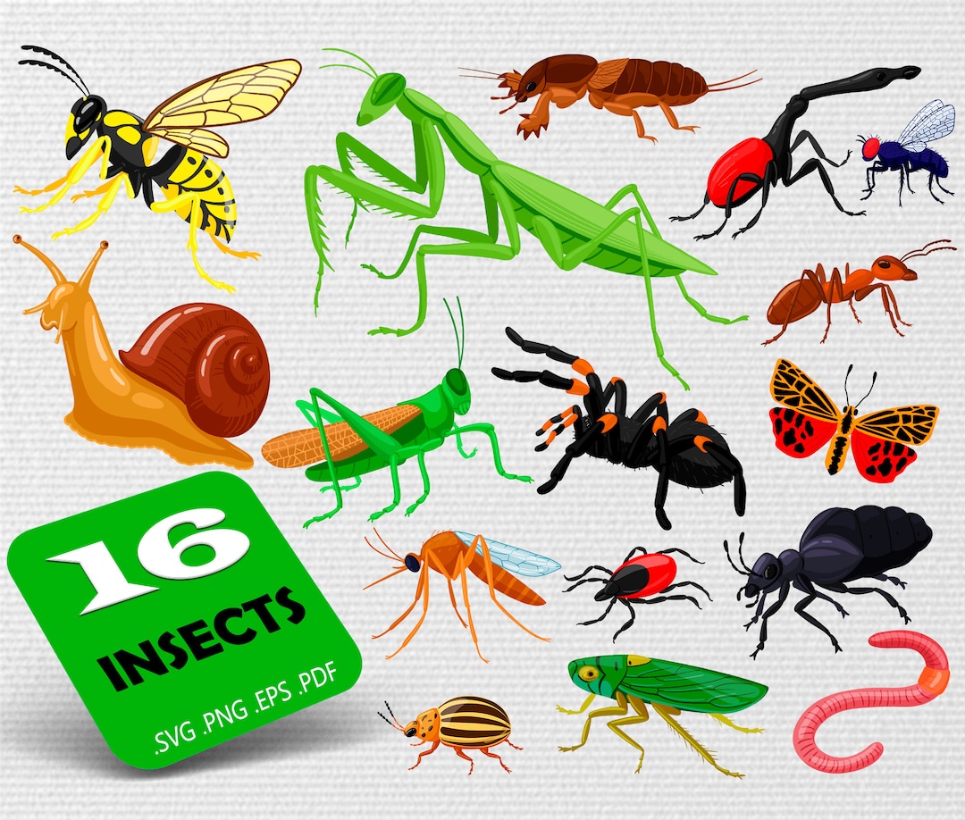 Insect Svg,insect Silhouette,insect Bundle Svg,insect Clipart,insect ...