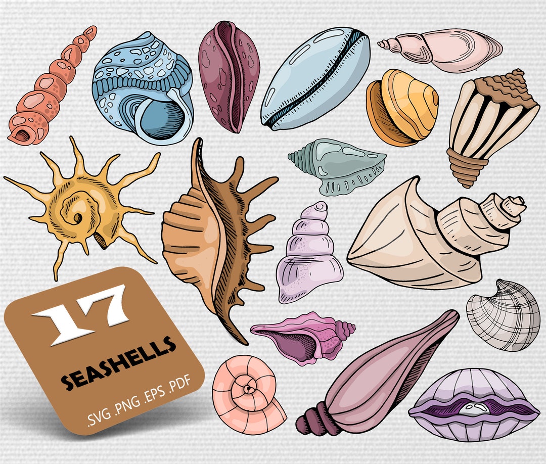 Seashell SVG Bundle, Sea Shell Svg,sea Svg,seashell Png,seashell Eps ...
