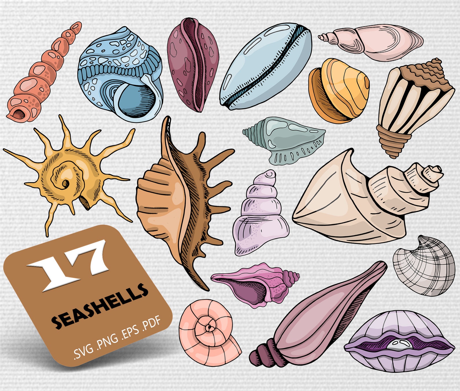 Seashell SVG Bundle, Sea Shell Svg,sea Svg,seashell Png,seashell Eps ...