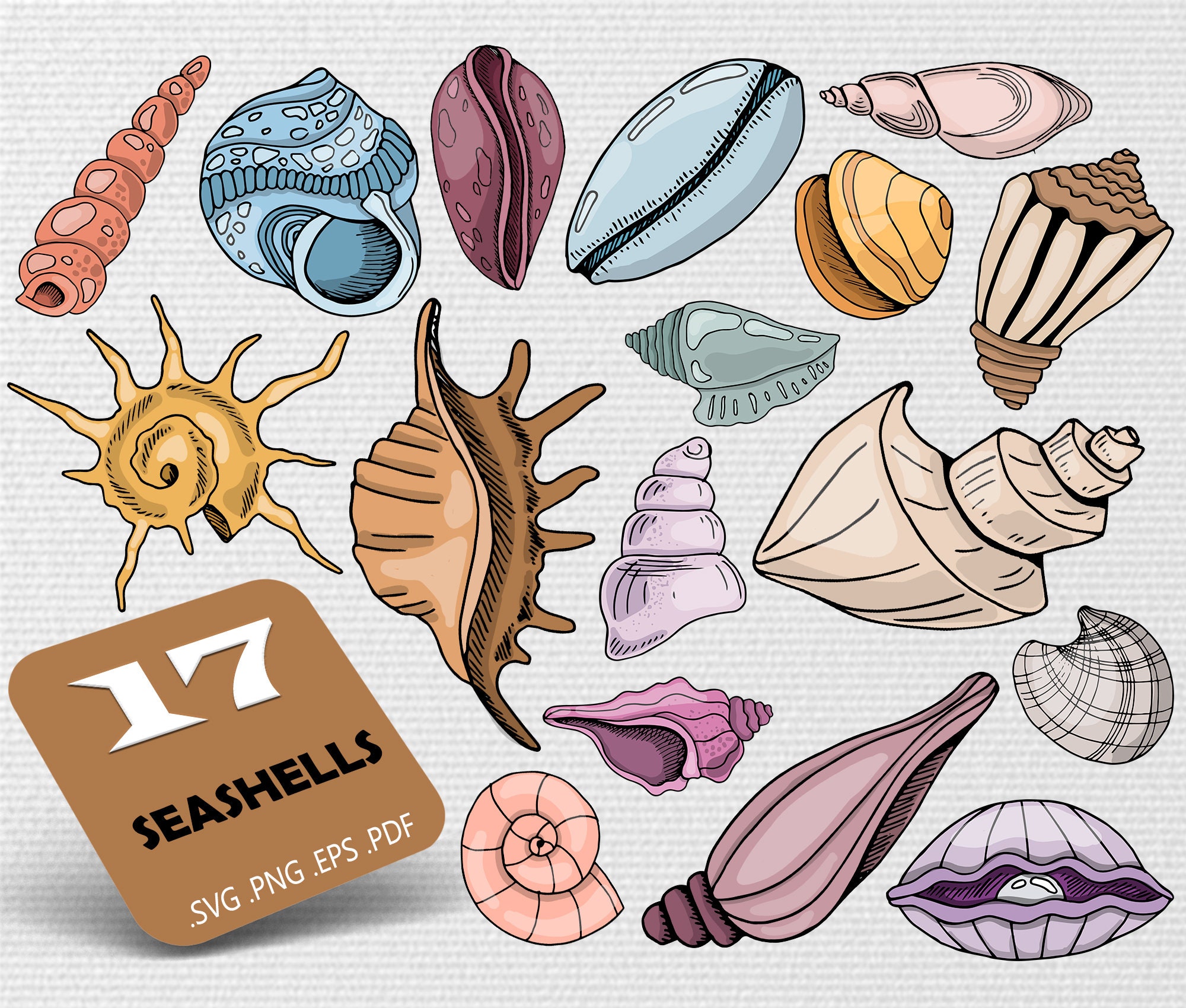 Seashell SVG Bundle, Sea Shell Svg,sea Svg,seashell Png,seashell Eps ...