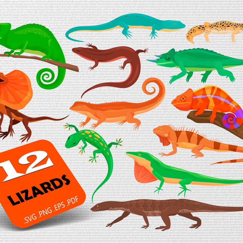 Lizard Vector - Etsy