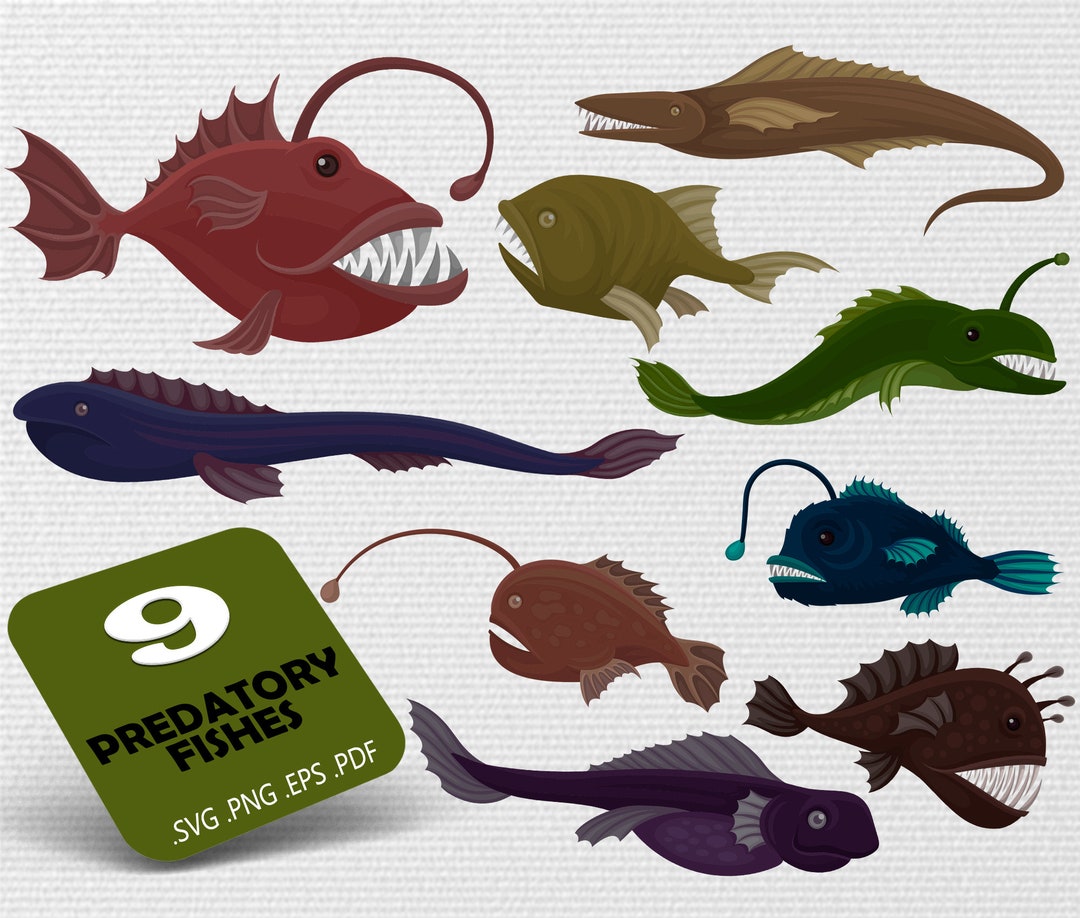Predatory Fishes Svg,fishing SVG, Fish Svg, Fisherman Svg, Bass Fishing ...