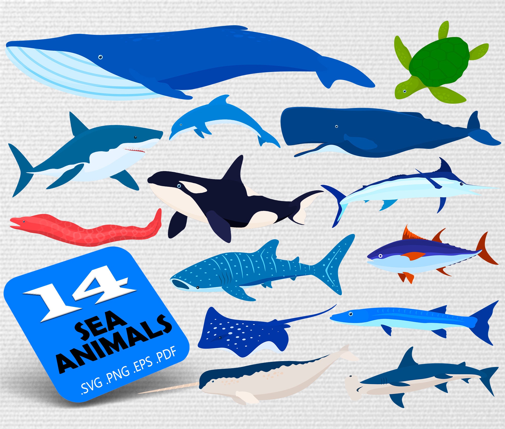 Sea Animals Svg,ocean Animals Svg,whale Svg, Dolphin Svg, Fish Svg ...