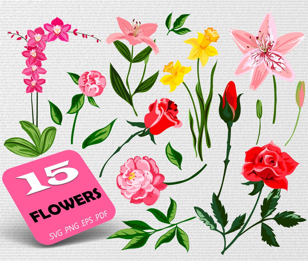 Flower SVG Bundle, Rose SVG Bundle, Flower File, Flower Clipart, Flower ...