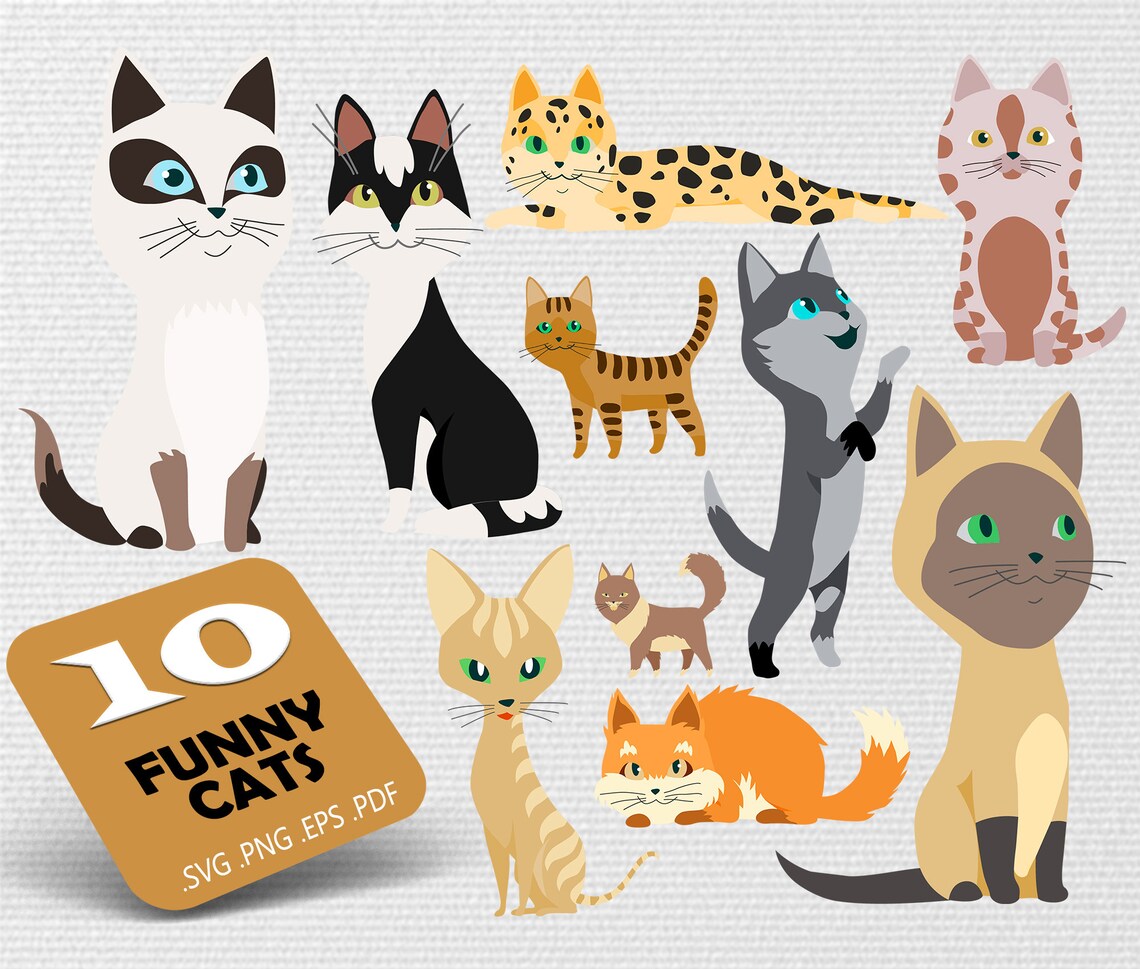 Funny Cats Svg,cute Cat SVG, Cat Svg, Cat Face Svg, Kitten Svg, Cat ...