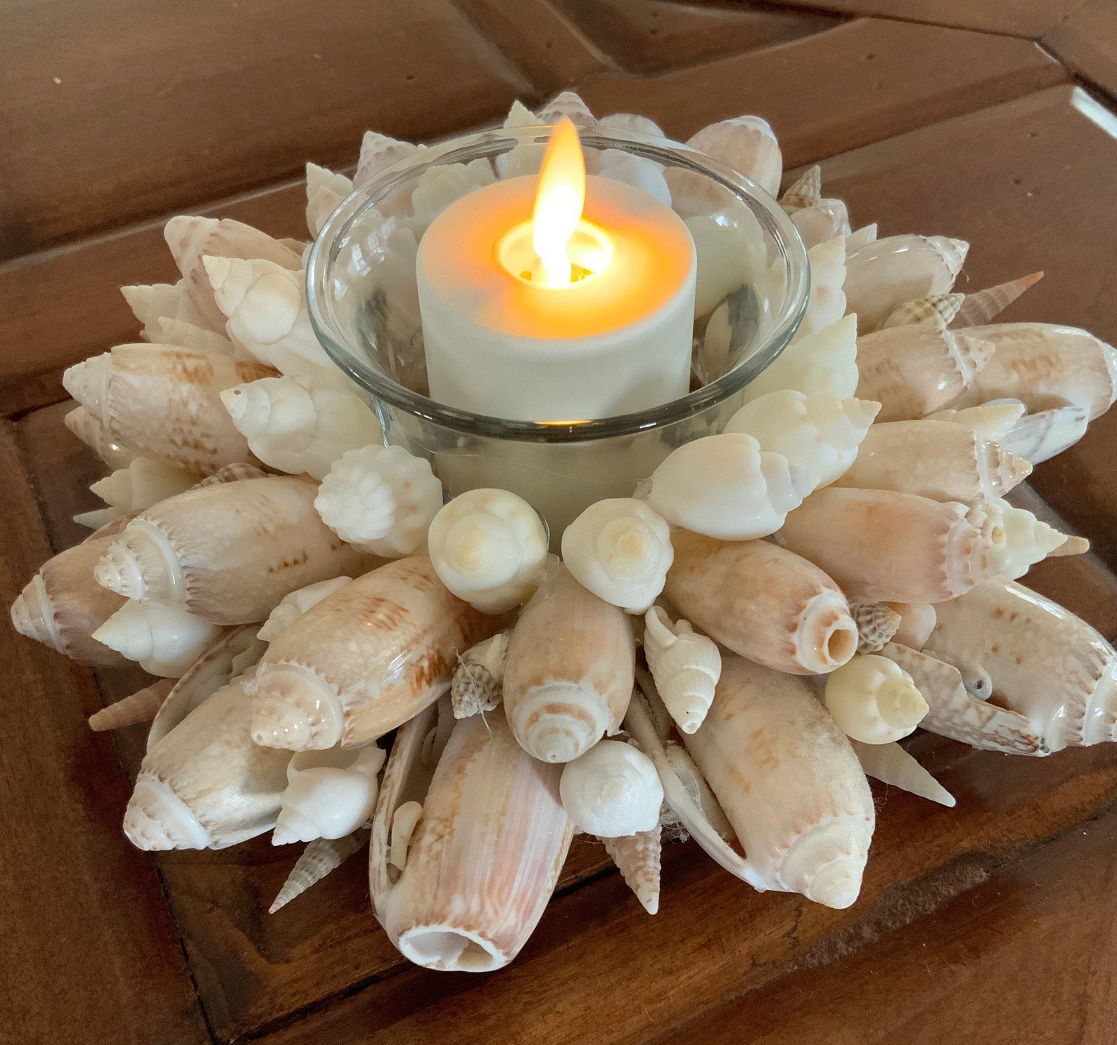 Olive Shell Assorted Shells Glass Votive Holder - Etsy UK