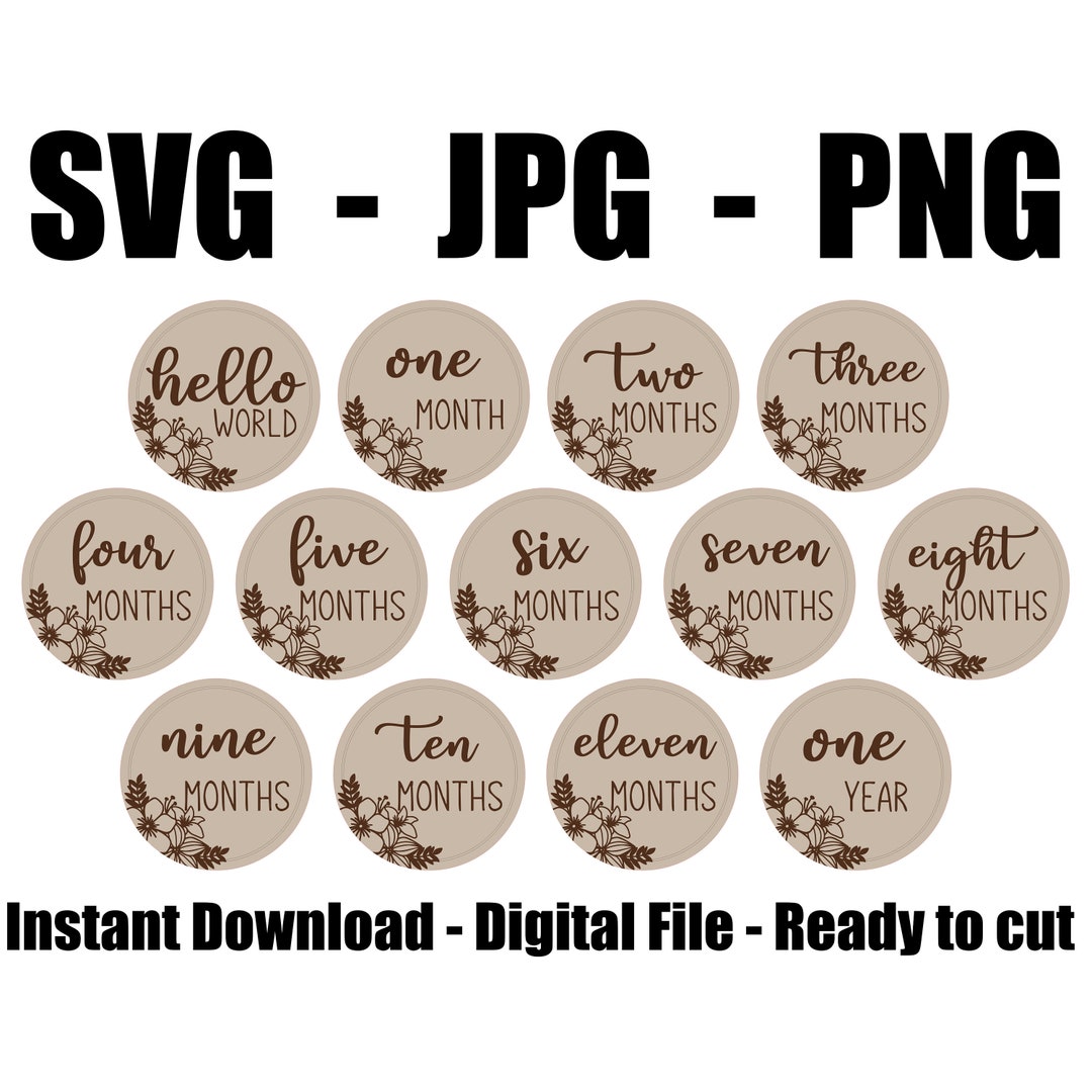 Baby Milestone Floral Cut File - Baby Milestone Floral SVG - Baby ...