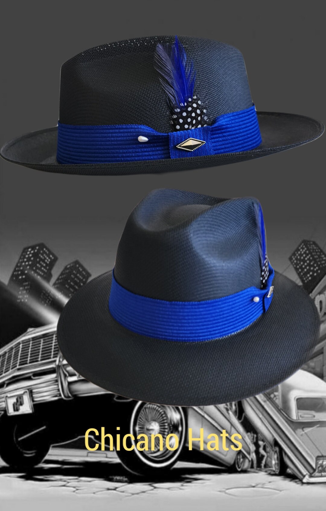 Goldline Black Viejo W/royal Blue Band Flip Down or Up - Etsy