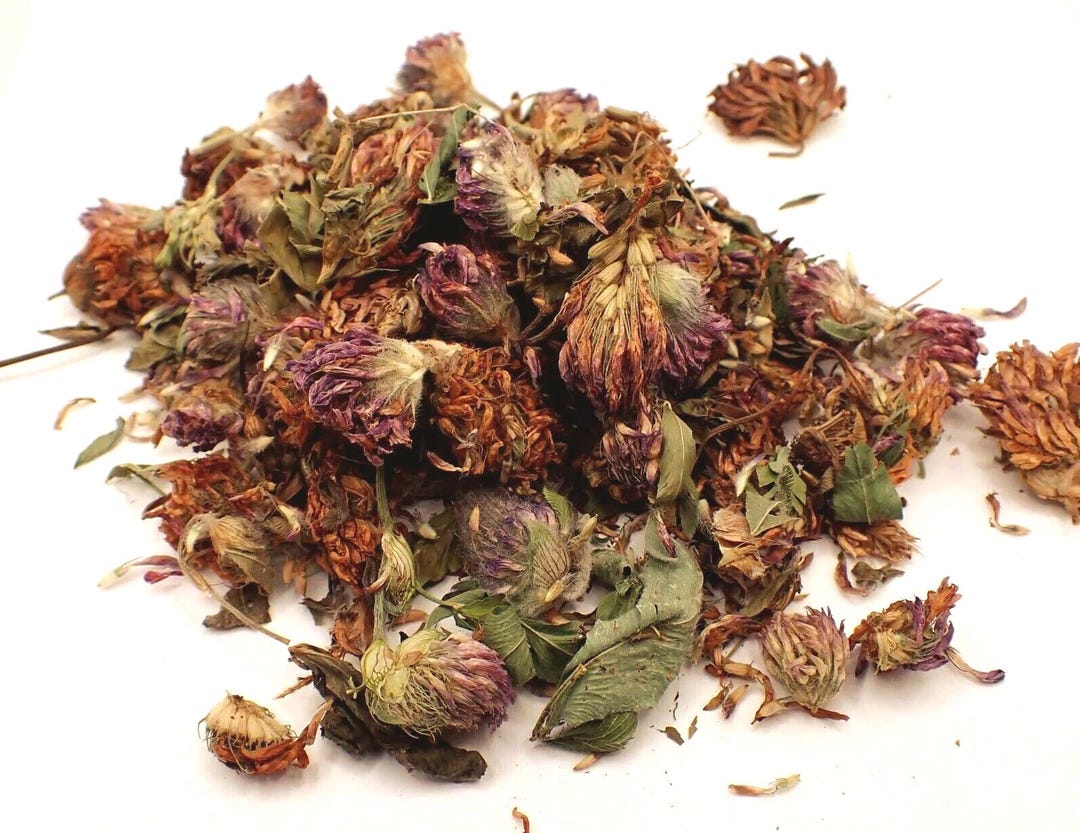 Organic Red Clover, Tops Cut Dried ~ Trifolium Pratense - Etsy
