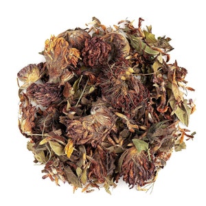 Red Clover Wild Crafted Tops Cut Dried ~ Trifolium Pratense - Etsy