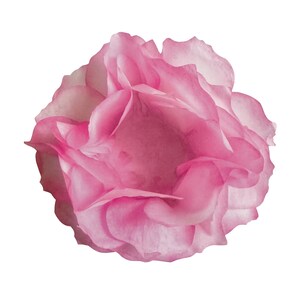 Peony Pink Flowers Wrapper for Holding Chocolate Decorations - Etsy