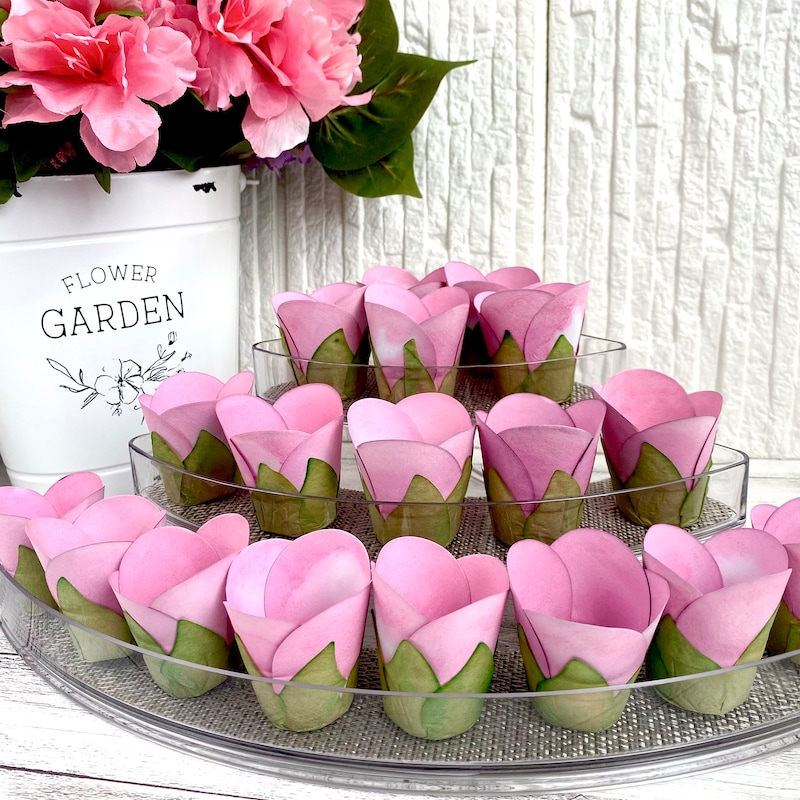 Tulip Shaped Cups - Etsy