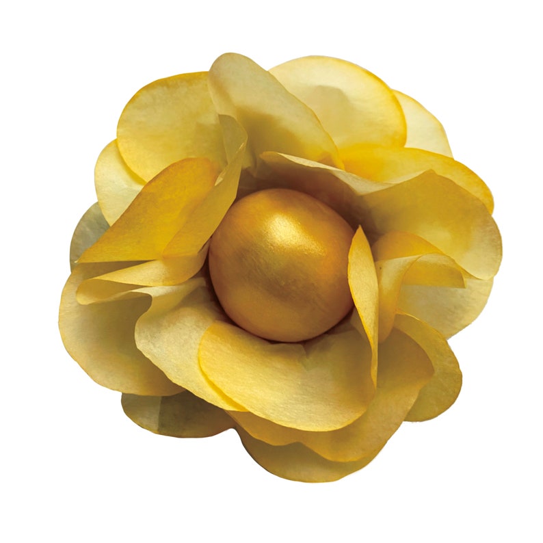 Wedding Yellow Color Theme Flowers Truffle Chocolate Truffles - Etsy