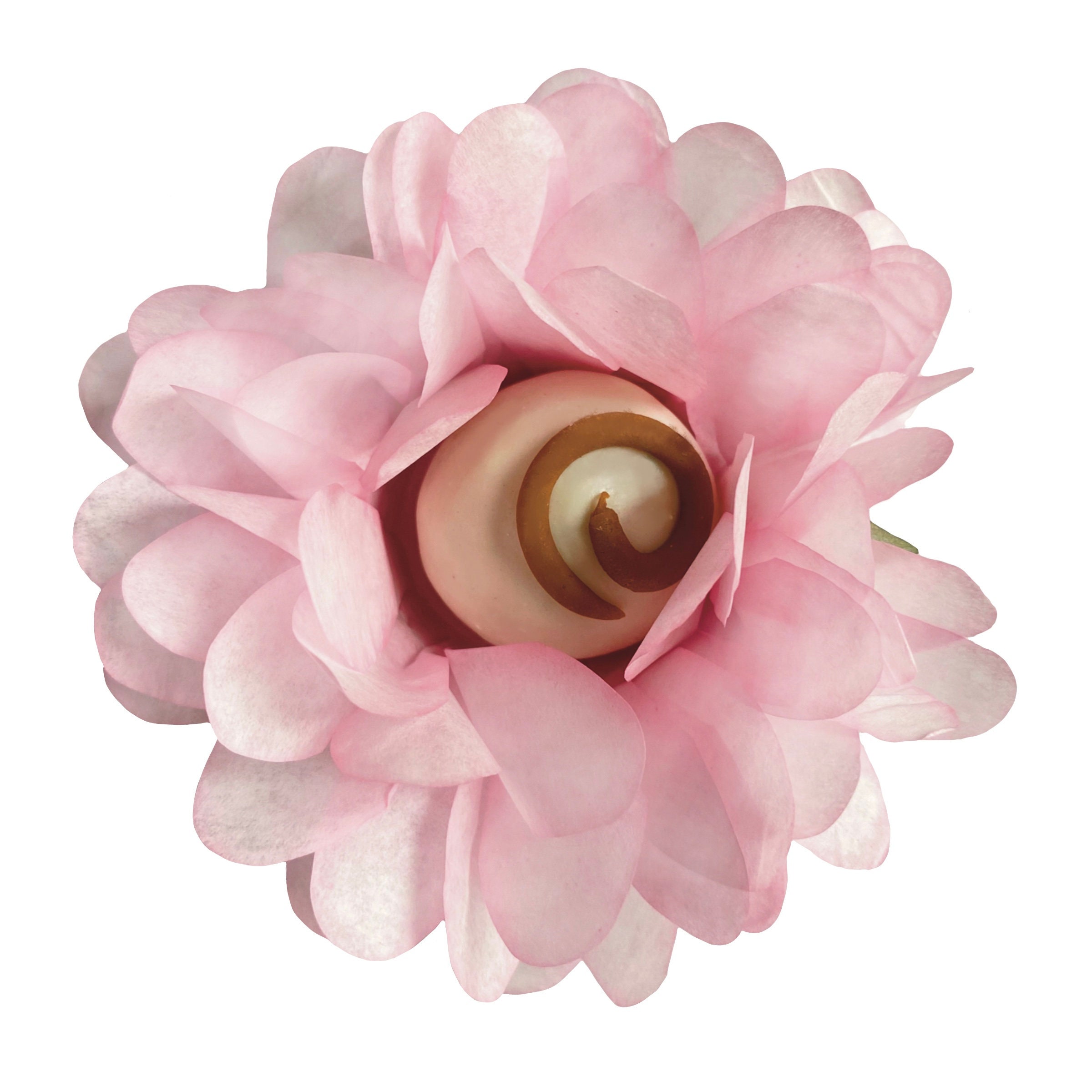 Margarita Baby Pink Flowers Wrapper for Holding Chocolate Ideas - Etsy