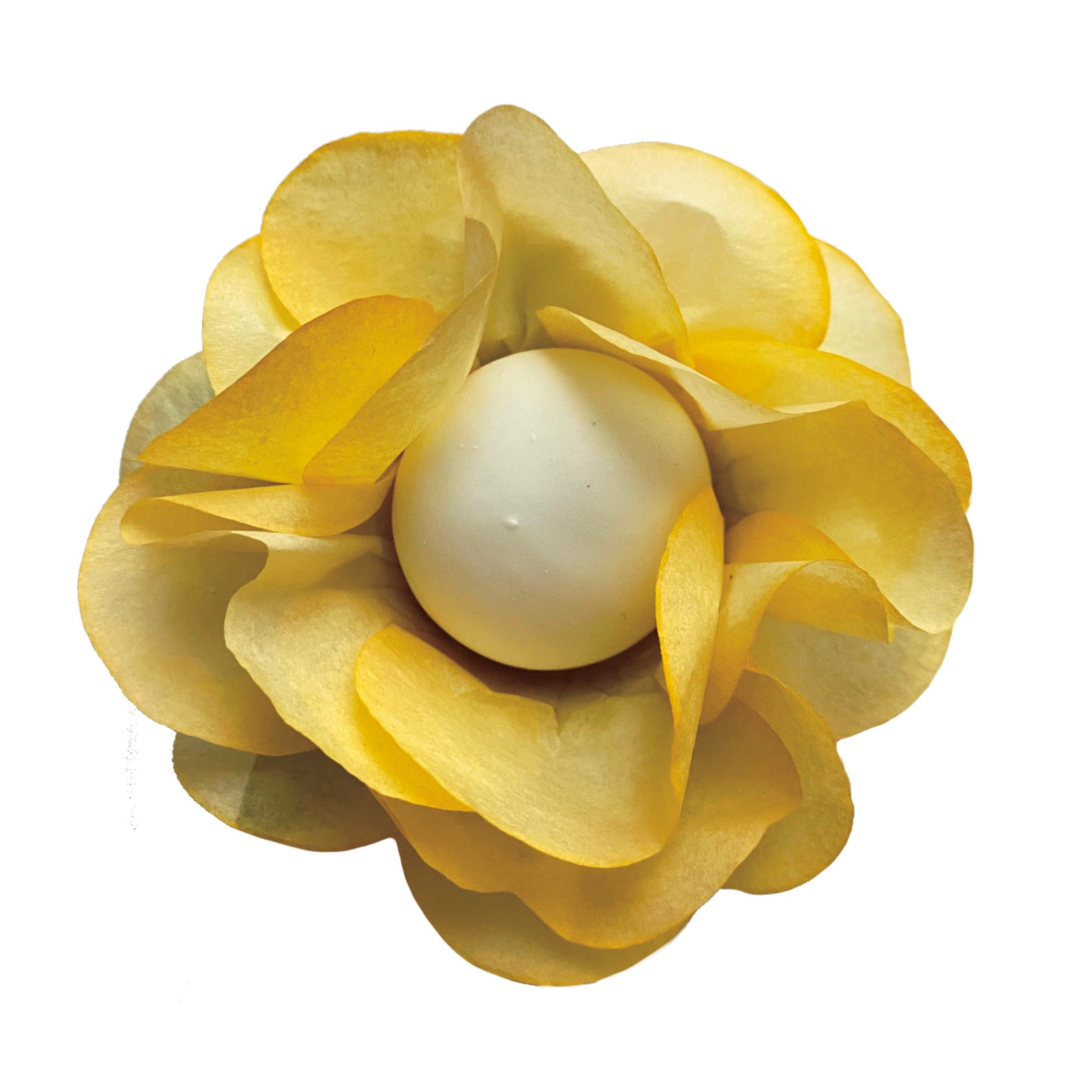 Wedding Yellow Color Theme Flowers Truffle Chocolate Truffles - Etsy