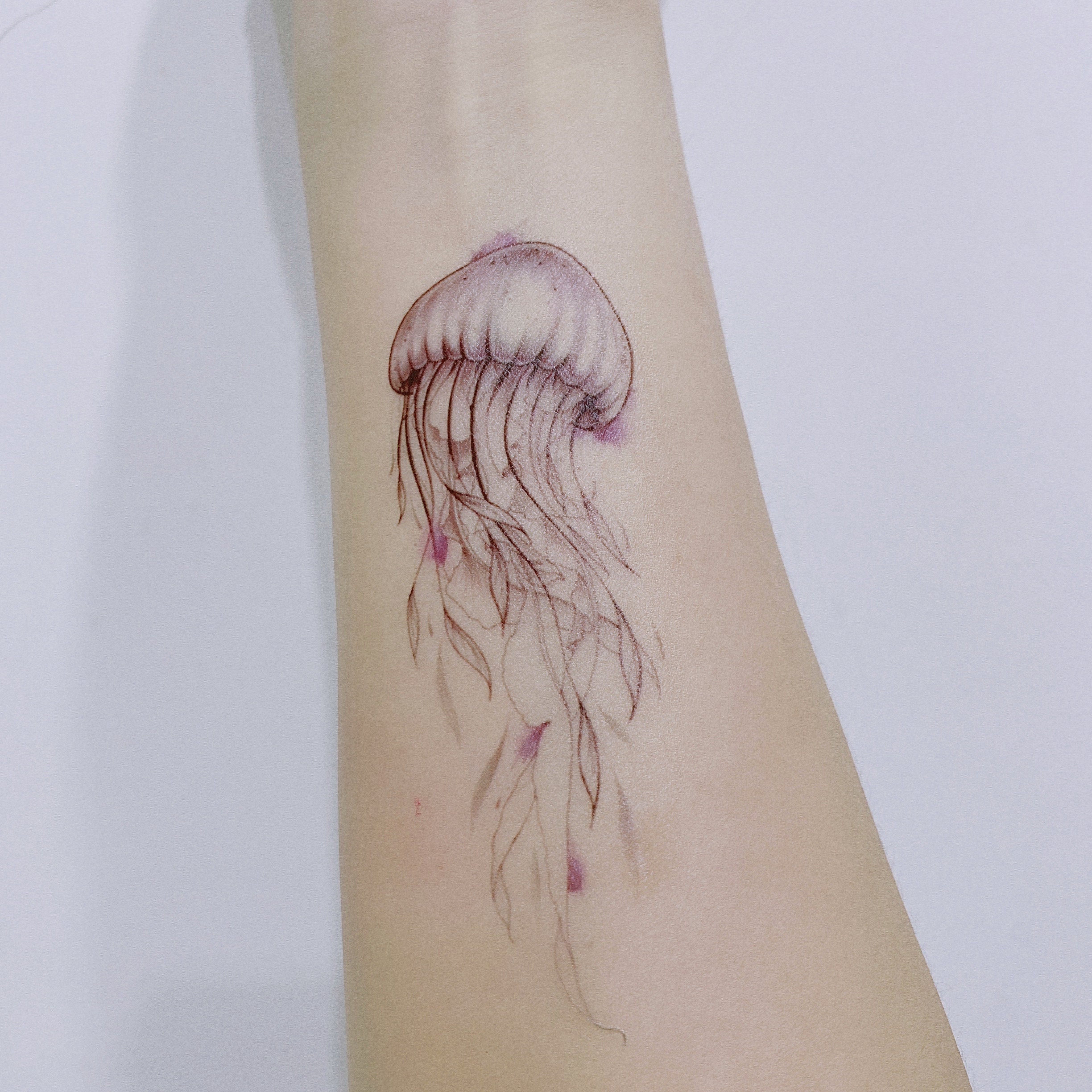 Box Jellyfish Tattoo Men