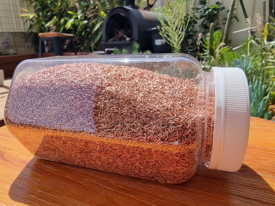 Copper Bullion Granules 3kg Outback Bullion 3000g Pure Copper in Jar - Etsy