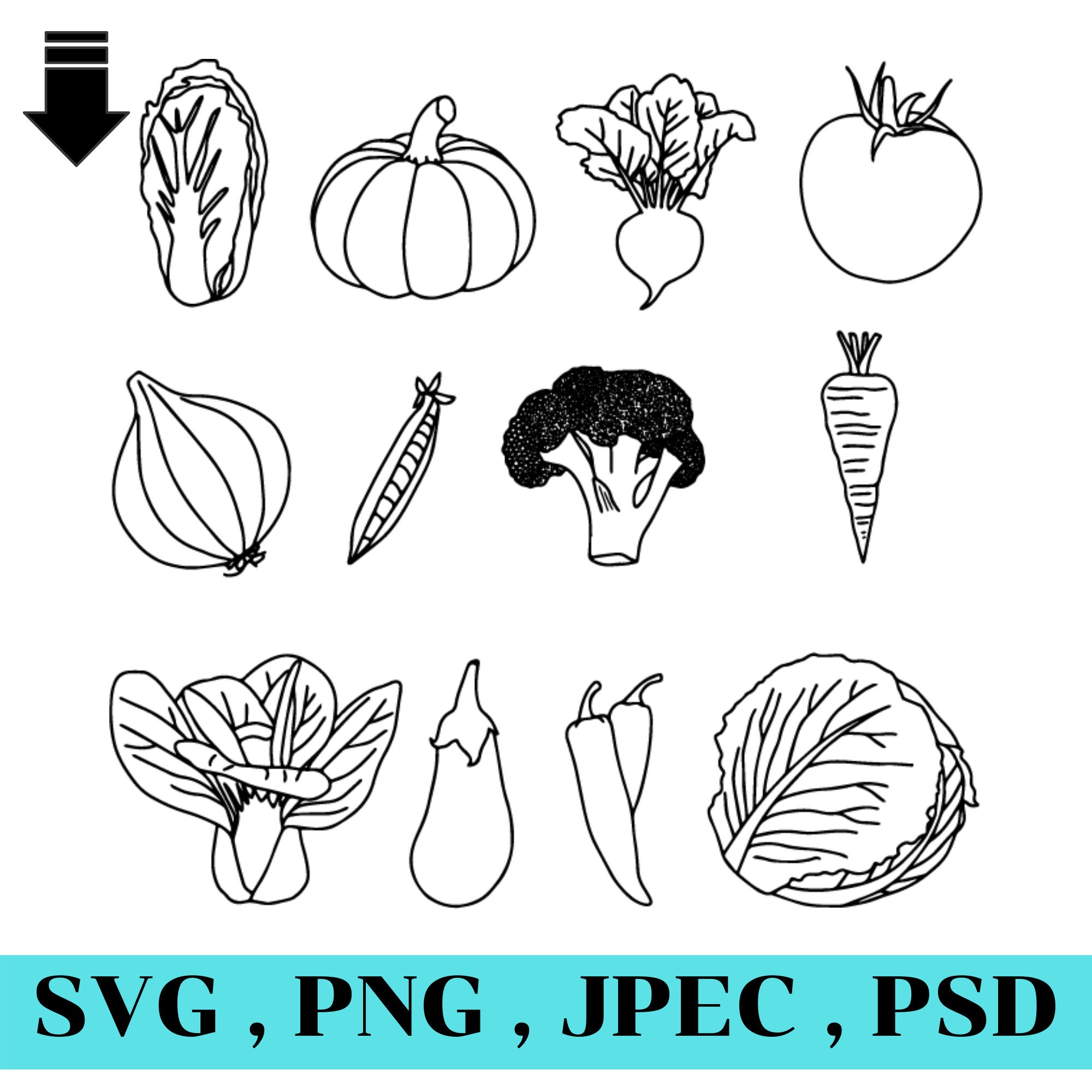 Vegetables SVG Bundle Vegetables SVG Clipart Files for | Etsy