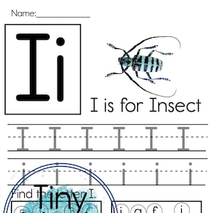 Pre-k Insect Themed Learning Pack - Etsy